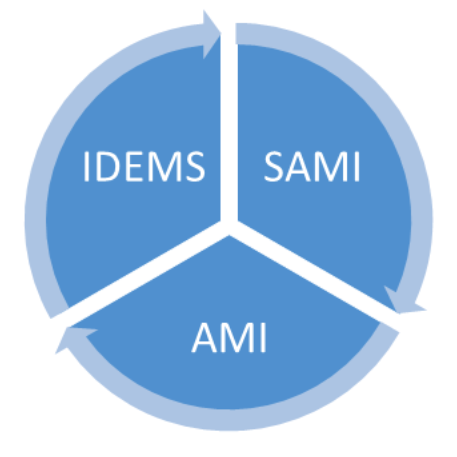Business Model – IDEMS International Community Interest Company (CIC)