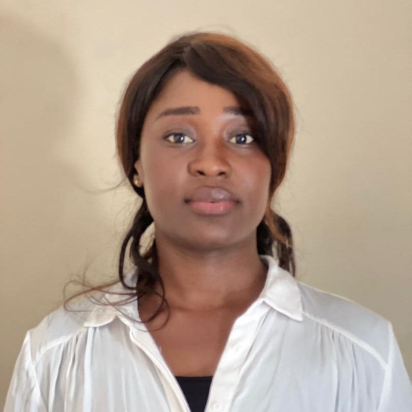 Our team – IDEMS International Community Interest Company (CIC)